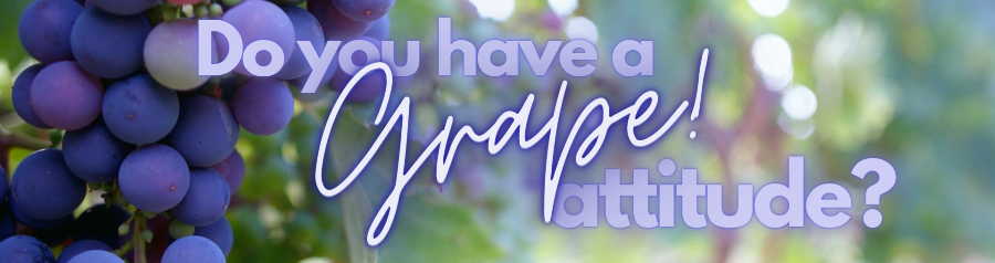 Hannah’s “Grape” Attitude! – The Rock Church